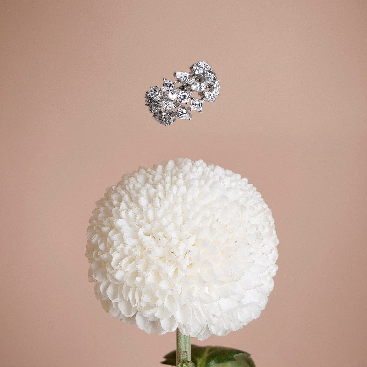 8 Facts about Merii - 8 ข้อเท็จจริงเกี่ยวกับ Merii – MeriiTH